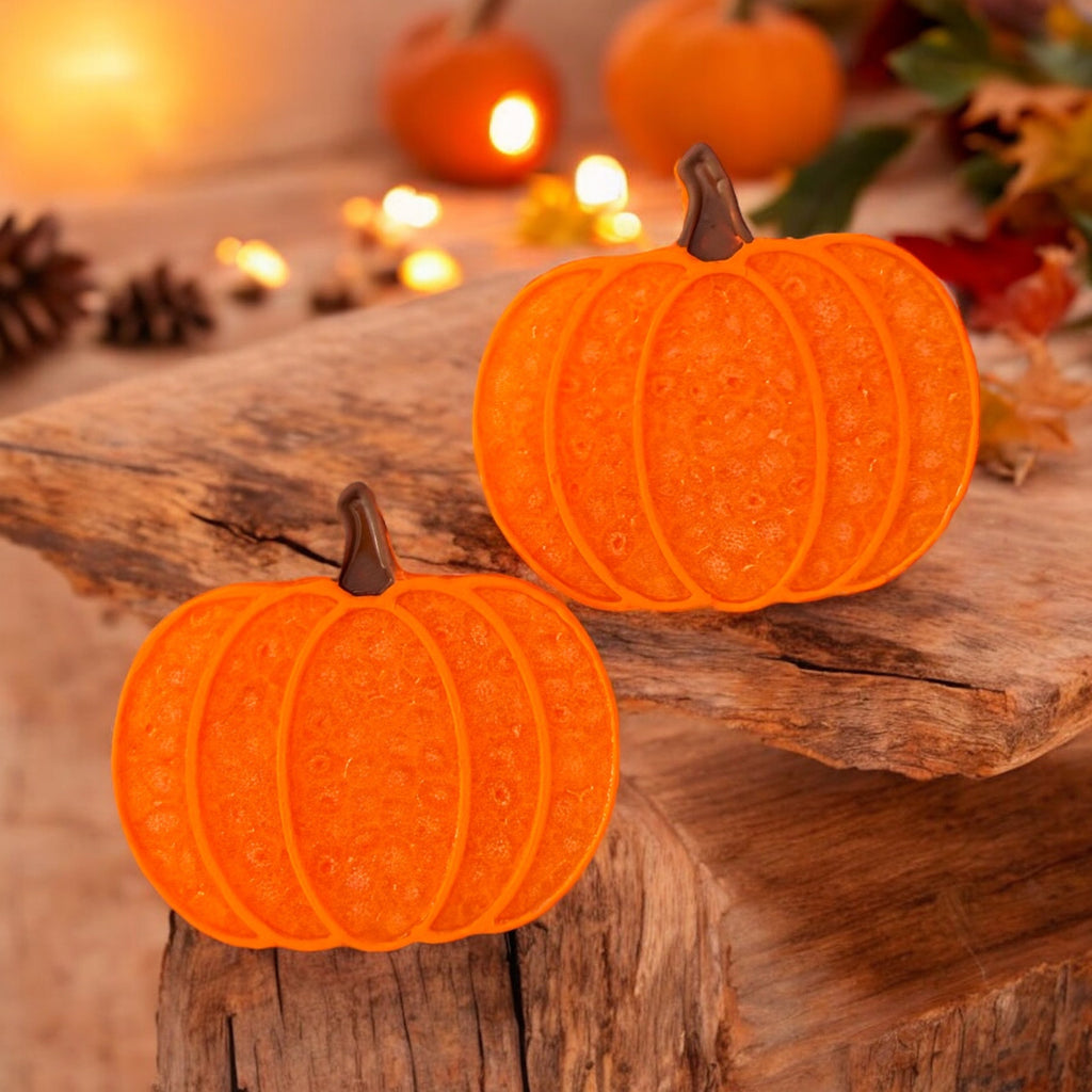 Pumpkin Magnet Set – Treasure Lilly