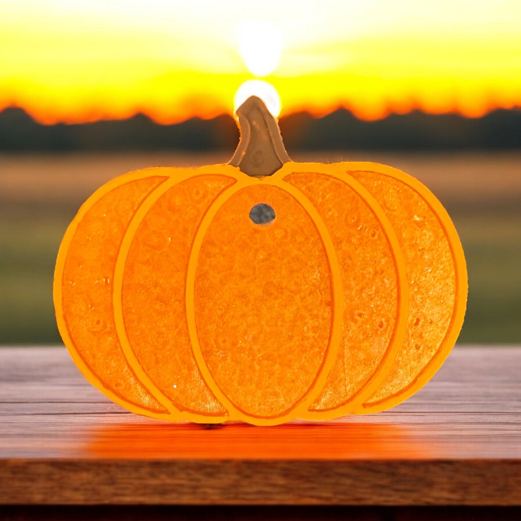 Medium Pumpkin Freshie – Treasure Lilly